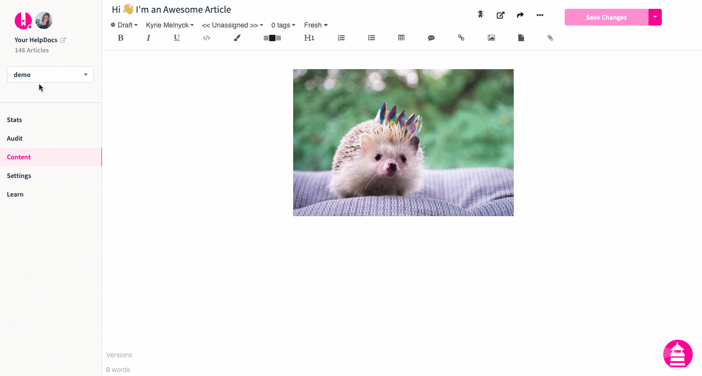 Understanding Article Statuses - HelpDocs Support