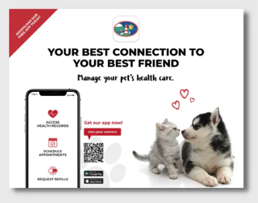 Marketing templates to promote your app - The Vet2Pet Knowledge Library