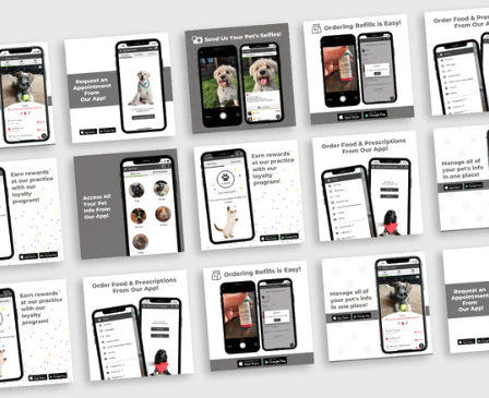 Marketing templates to promote your app - The Vet2Pet Knowledge Library