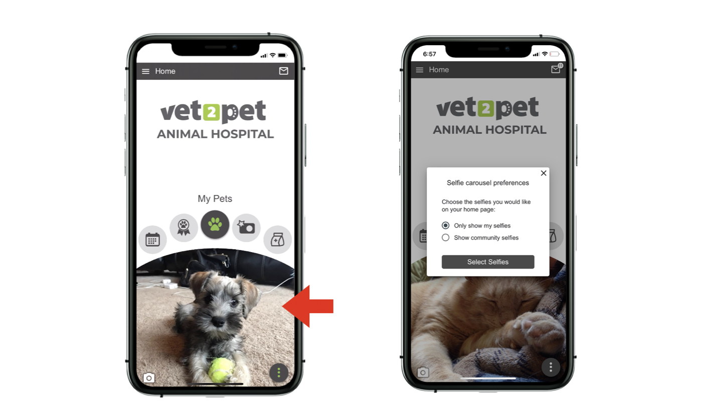 Personalized Home Screen Image - The Vet2Pet Knowledge Library