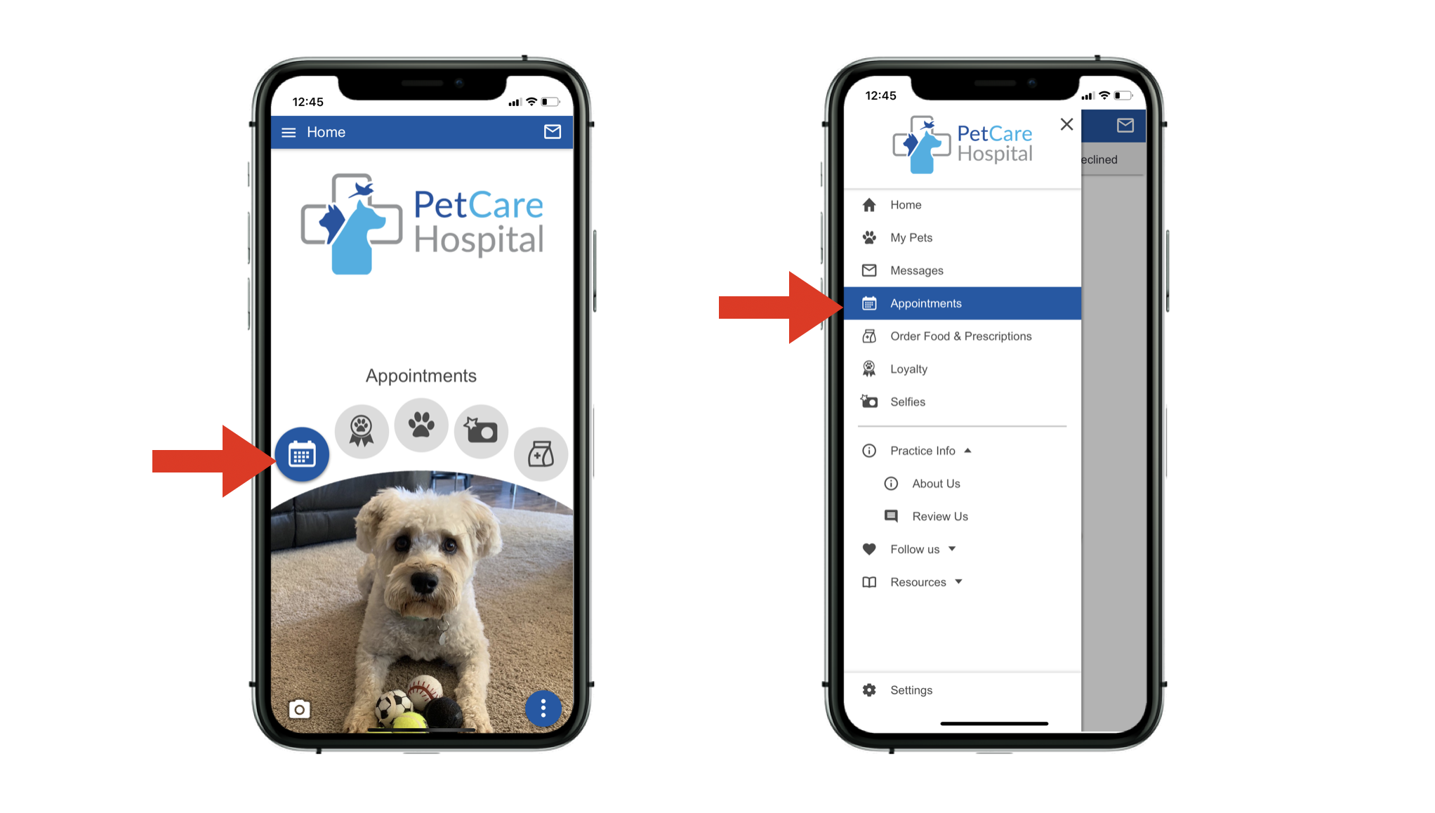 Requesting an Appointment From the App - The Vet2Pet Knowledge Library