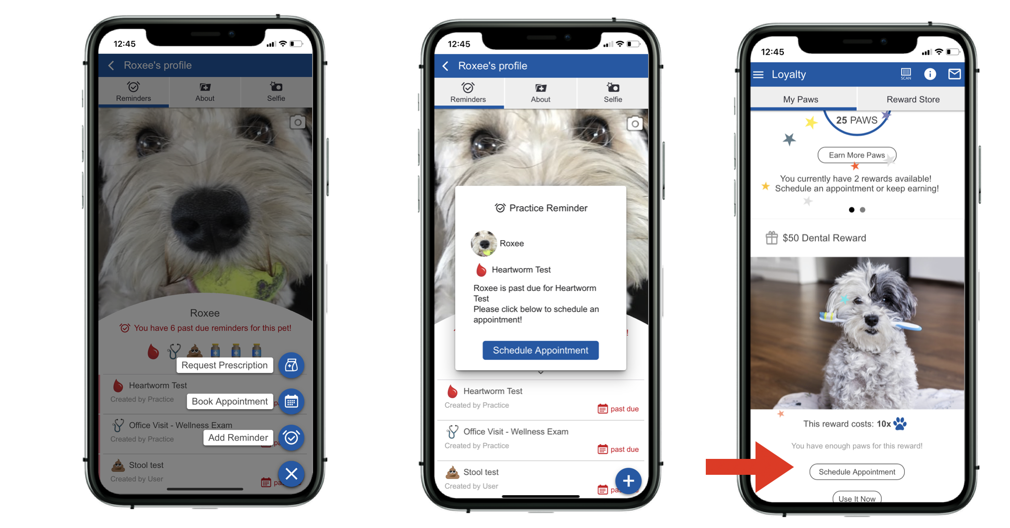 Requesting an Appointment From the App - The Vet2Pet Knowledge Library